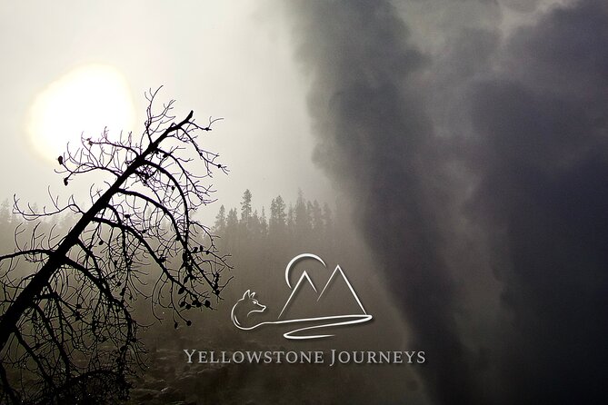 Private Yellowstone Journey from Gardiner, MT - Pricing and Value