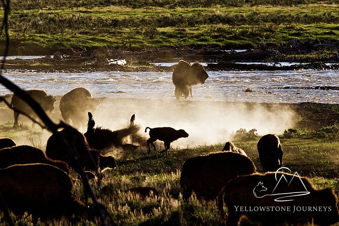 Private Yellowstone Journey from Gardiner, MT - Frequently Asked Questions (FAQs)