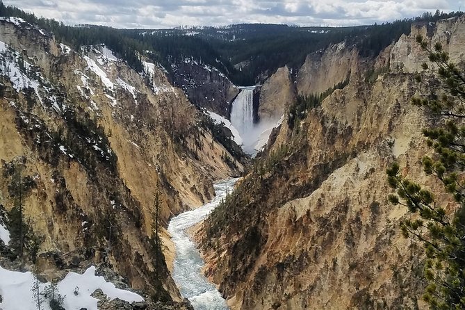 Private Yellowstone Lower Loop Tour - The Grand Canyon of Yellowstone