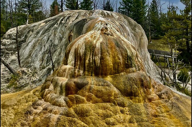 Private Yellowstone Wildlife and Photo Tours Upper Loop Cody Wy - Exploring the Itinerary in Detail