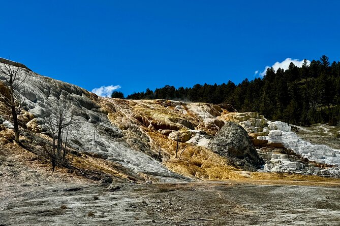 Private Yellowstone Wildlife and Photo Tours Upper Loop Cody Wy - FAQs