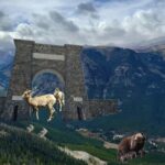 Private Yellowstone Wildlife and Photo Tours West Yellowstone - An In-Depth Look at the Yellowstone Wildlife and Photo Tour