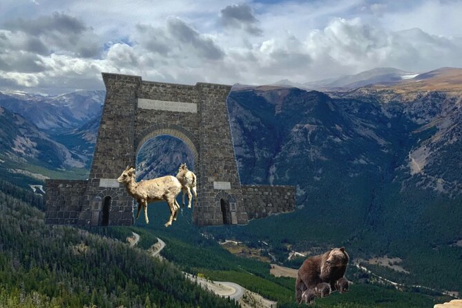 Private Yellowstone Wildlife and Photo Tours West Yellowstone - An In-Depth Look at the Yellowstone Wildlife and Photo Tour