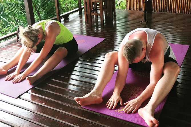 Private Yoga Classes for Individuals, Families & Groups - Why This Tour is Worth Considering