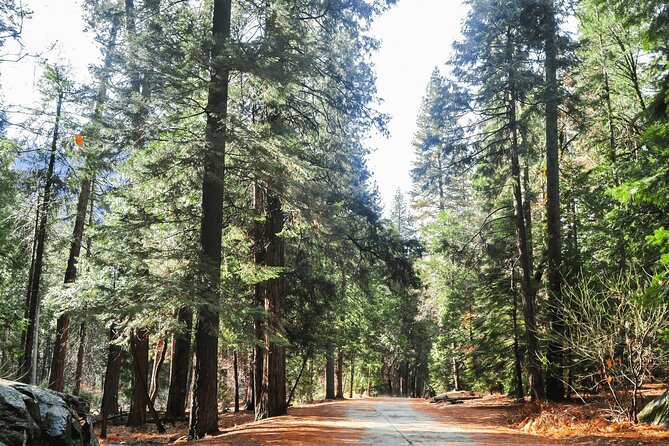 Private Yosemite National Park Day Trip from San Francisco - The Return Journey & Overall Value