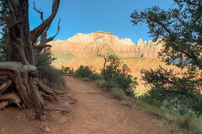 Private Zion Canyon National Park Day Tour from Las Vegas - Final Thoughts: Is This Tour Right for You?