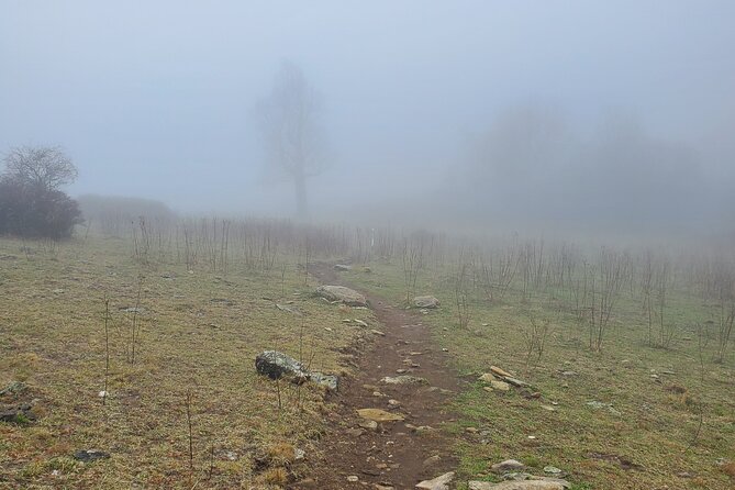 Privately Guided Full Day Hike - What is the Privately Guided Full Day Hike?