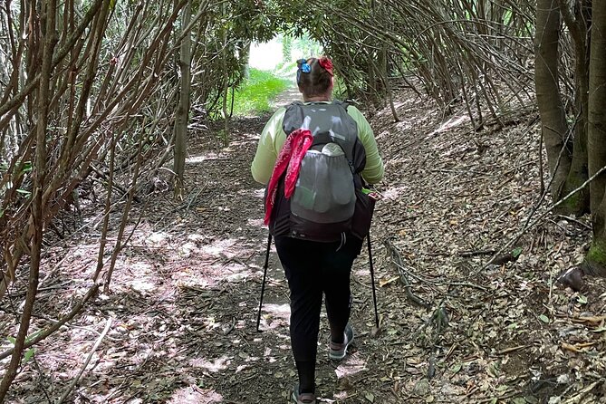 Privately Guided Full Day Hike - What Could Be Better?