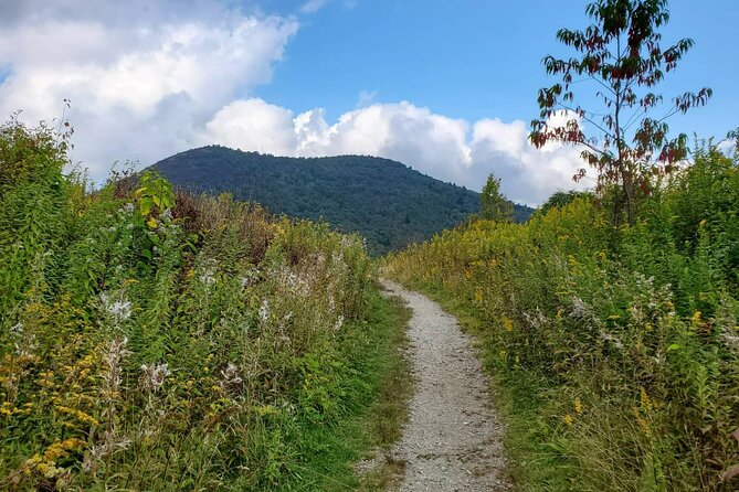 Privately Guided Half Day Hike - Practical Details to Keep in Mind