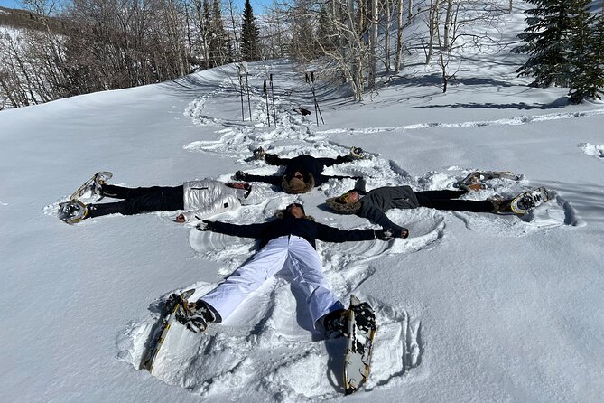 Privately Guided Snowshoe Experience - In-Depth Look at the Itinerary