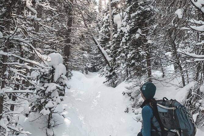 Privately Guided Snowshoe Experience - Practical Details That Matter