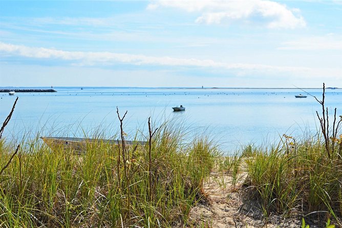 Provincetown & Cape Cod High Speed Ferry to/from Boston - FAQs