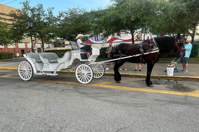 Public Group Historical Carriage Tour of Galveston - An In-Depth Look at the Carriage Tour Experience