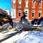Public Group Historical Carriage Tour of Galveston - Who Would Love This Tour?