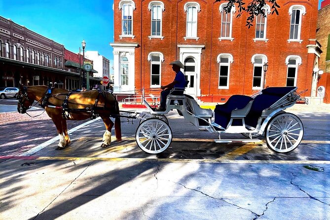 Public Group Historical Carriage Tour of Galveston - Who Would Love This Tour?