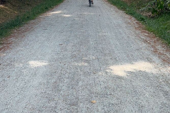 Public | Small Group | Nature & Wildlife Tour Rail Trail| 2-2.5hr - Exploring the Itinerary in Detail