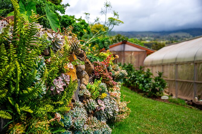 Pueo Farm Tour (1.5 hr) Upcountry Kula Maui Hawaii - Practical Details and Tips
