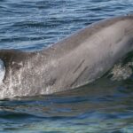 Punta Gorda/Boca Grande Beach Day Private 5hr Charter - Authentic Insights from Reviewers