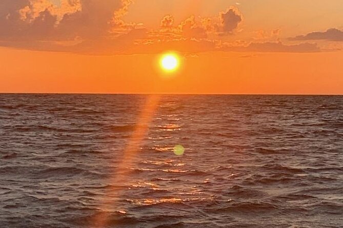 Punta Gorda/Boca Grande Beach Day Private 5hr Charter - Final Thoughts: Who Will Love This Tour?