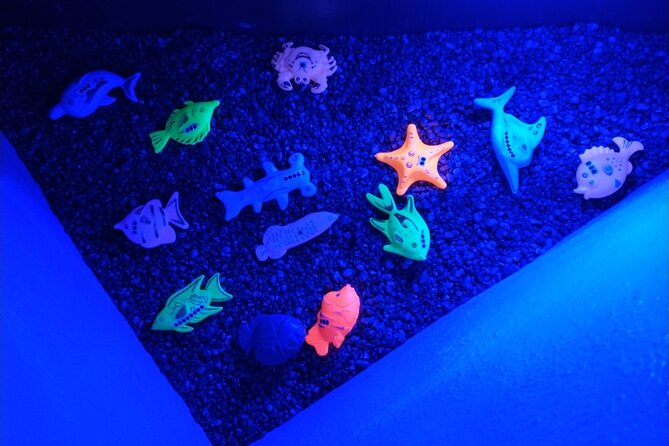 Puzzle Pirates Puzzle Room Experience For Kids - Why the Price of $28 Is a Good Deal