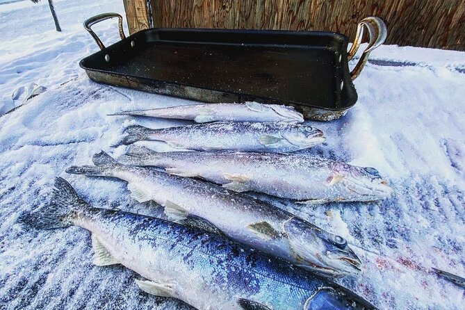 Quick and Easy Ice Fishing at Chena Lake - FAQ