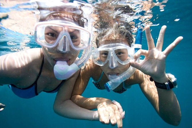 Quick & Easy Snorkel Trip from Kailua Pier - What Makes This Snorkel Tour Stand Out