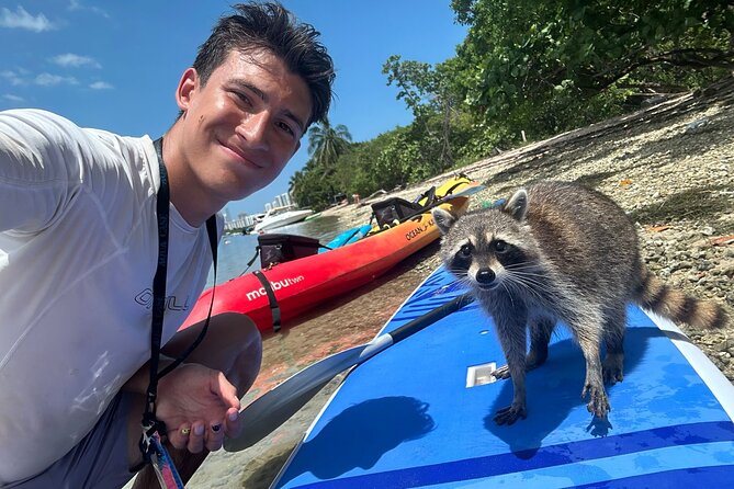 Raccoon Island Exploration on SUP/Kayak - An In-Depth Look at the Raccoon Island Experience