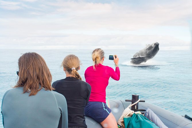RAFT ADVENTURE - Whale Watch Discovery - Discover Kauais Marine Majesty with RAFT ADVENTUREs Whale Watch Discovery