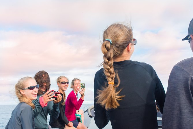 RAFT ADVENTURE - Whale Watch Discovery - Analyzing the Value and Booking Experience