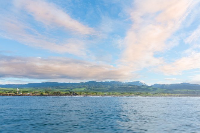 RAFT ADVENTURE - Whale Watch Discovery - The Sum Up