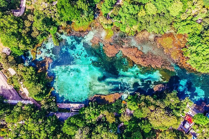 Rainbow Springs: Clear Kayak & Snorkel Eco Tour - What to Expect from the Tour