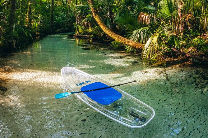 Rainbow Springs: Clear Kayak & Snorkel Eco Tour - Authentic Experiences and Highlights