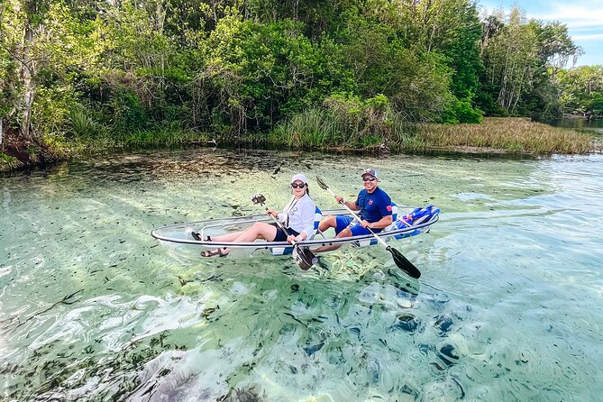 Rainbow Springs: Clear Kayak & Snorkel Eco Tour - Who Is This Tour Best For?