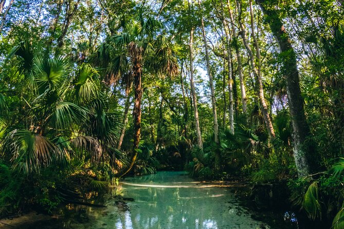 Rainbow Springs: Clear Kayak & Snorkel Eco Tour - FAQ