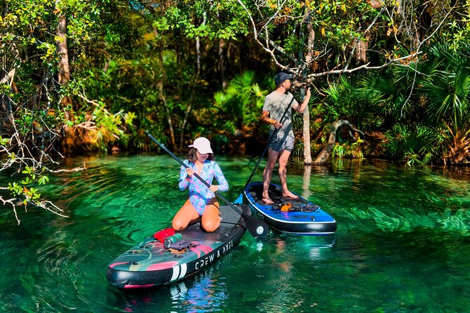 Rainbow Springs Paddle Adventure - What Can You Expect During the Tour?