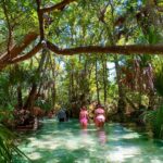 Rainbow Springs Paddle Adventure - Equipment and Inclusions