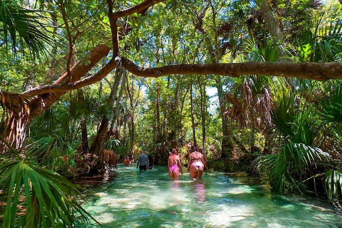 Rainbow Springs Paddle Adventure - Equipment and Inclusions