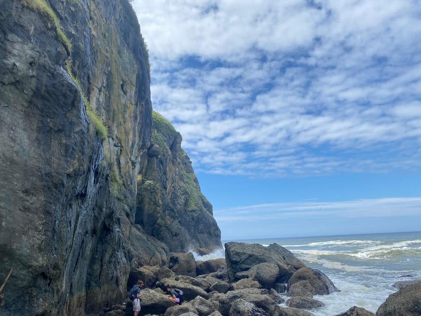 Rainforest and Olympic National Park Highlights - The Journey Begins: From Seattle to Olympic National Park