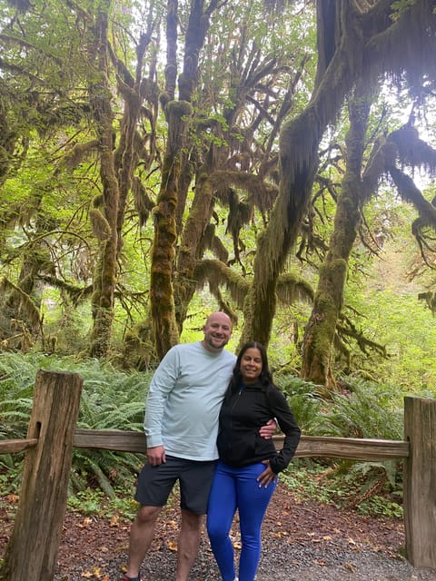 Rainforest and Olympic National Park Highlights - Exploring the Rainforests: Hoh and Quinault