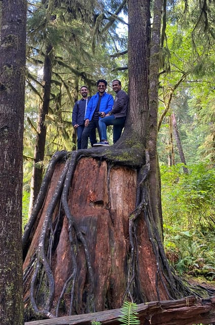 Rainforest and Olympic National Park Highlights - Ruby Beach: Dramatic Coastal Scenery