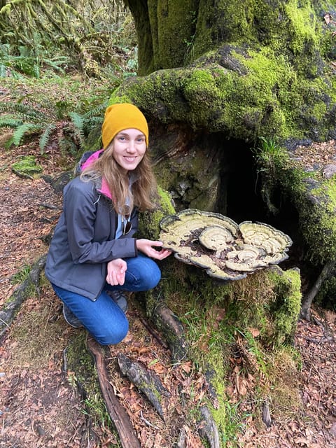 Rainforest and Olympic National Park Highlights - Authentic Experiences and Real Traveler Insights