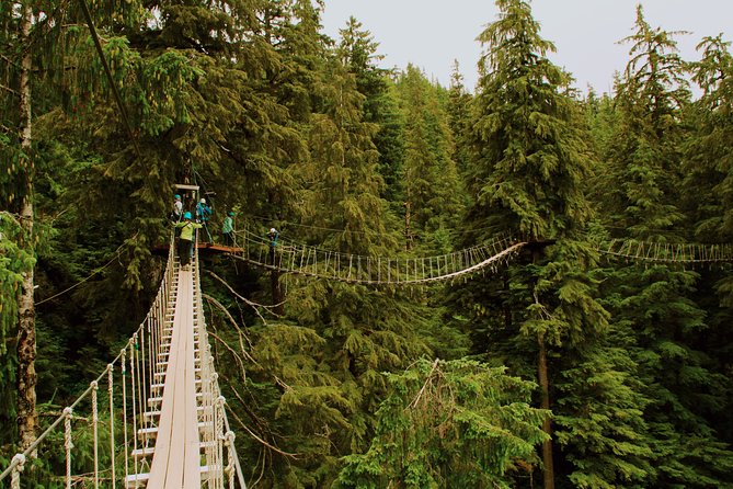 Rainforest Canopy & Zipline Adventure in Ketchikan, AK - Wildlife and Nature Viewing