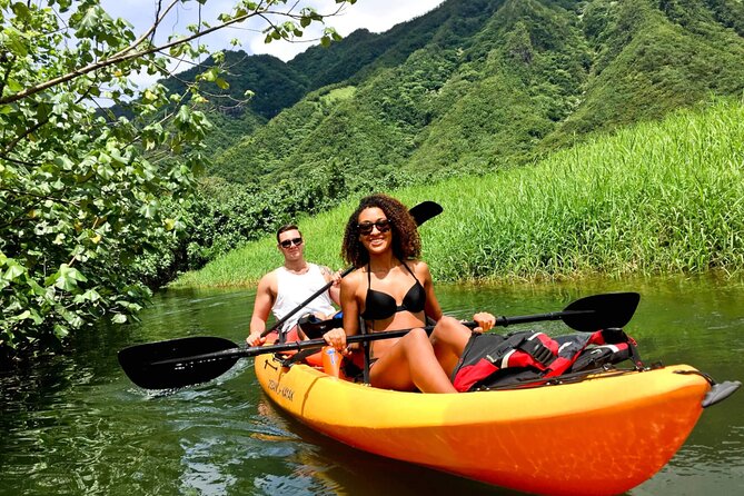 Rainforest River Kayak Self-Guided Kayak Tour - The Sum Up