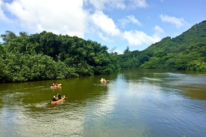 Rainforest River Kayak Self-Guided Kayak Tour - FAQ
