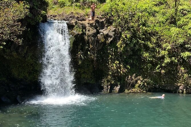 Rainforest Tour to Hana and Beyond - An In-Depth Look at the Rainforest Tour to Hana and Beyond