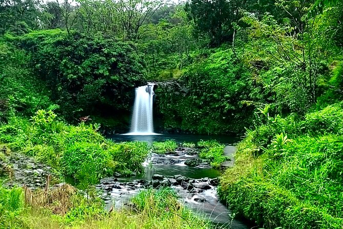Rainforest Tour to Hana and Beyond - Who Should Consider This Tour?