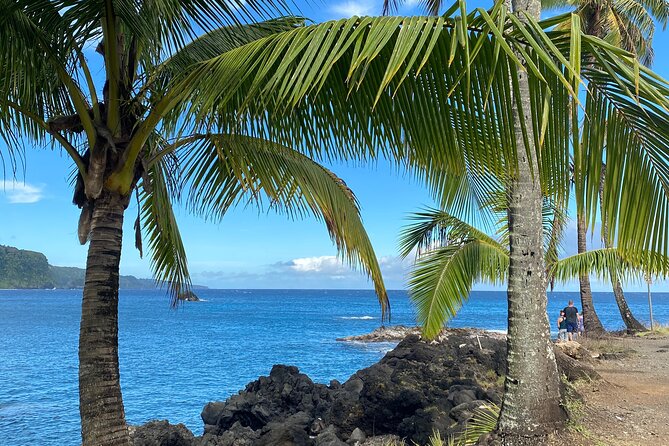Rainforest Tour to Hana and Beyond - Final Thoughts