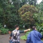 Rainforest Waterfall Trail and Shuttle Service - The Sum Up: Who This Tour Is Perfect For