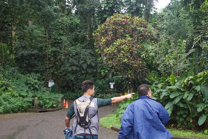 Rainforest Waterfall Trail and Shuttle Service - The Sum Up: Who This Tour Is Perfect For