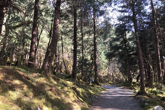 Rainforest & Waterfalls Trek - Key Points
